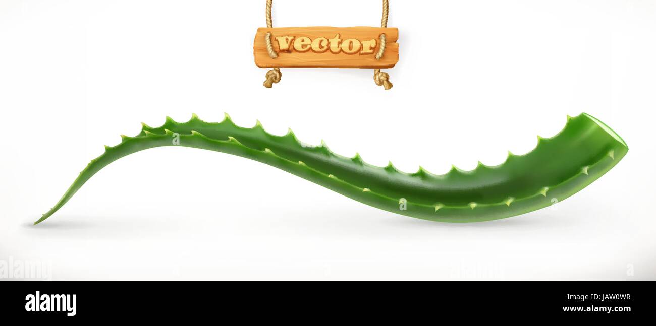 Medicinal plant macro Stock Vector Images - Alamy