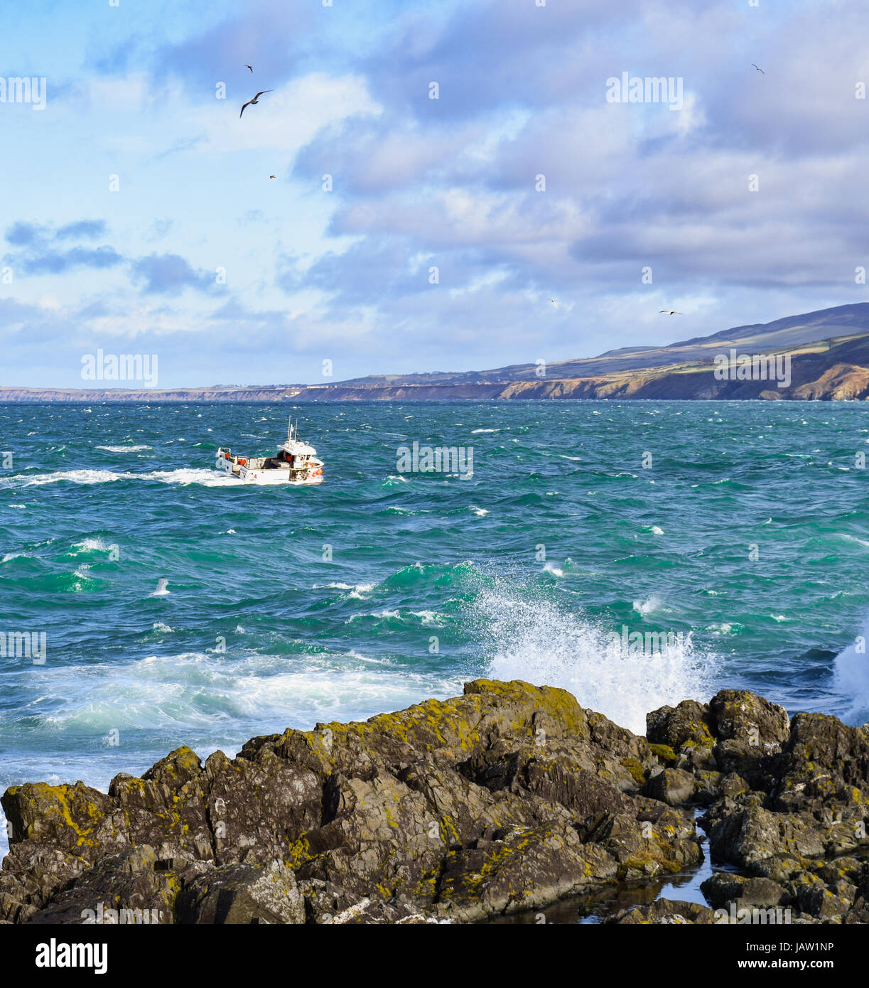 Fishing boat in stormy seas approaching Peel harbour Stock Photo - Alamy