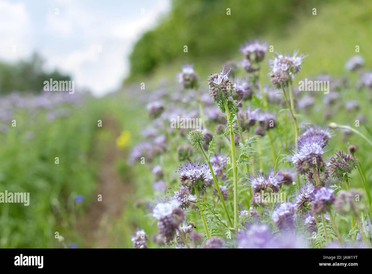 Toxic friend hi-res stock photography and images - Alamy