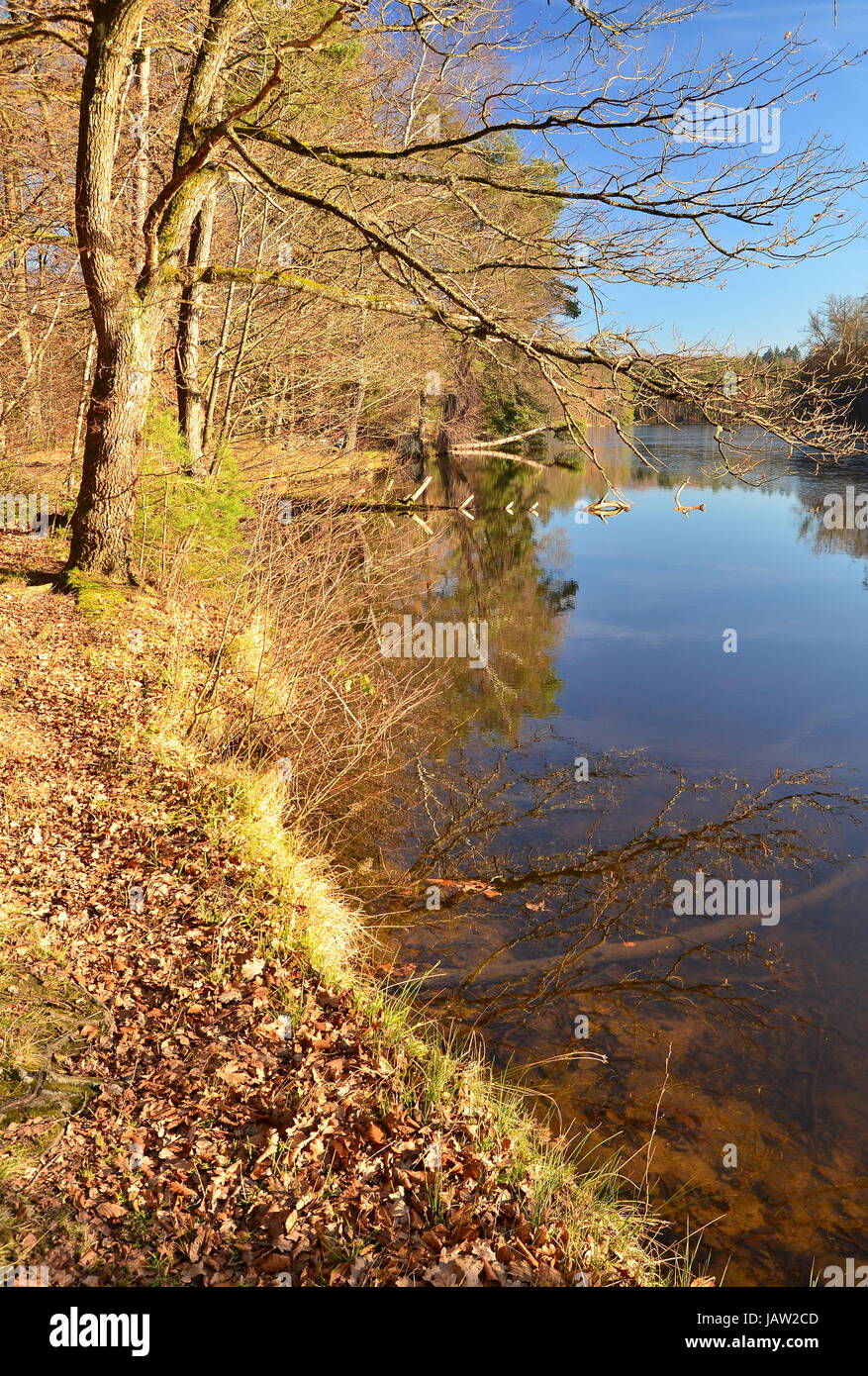 salt water sea Stock Photo - Alamy