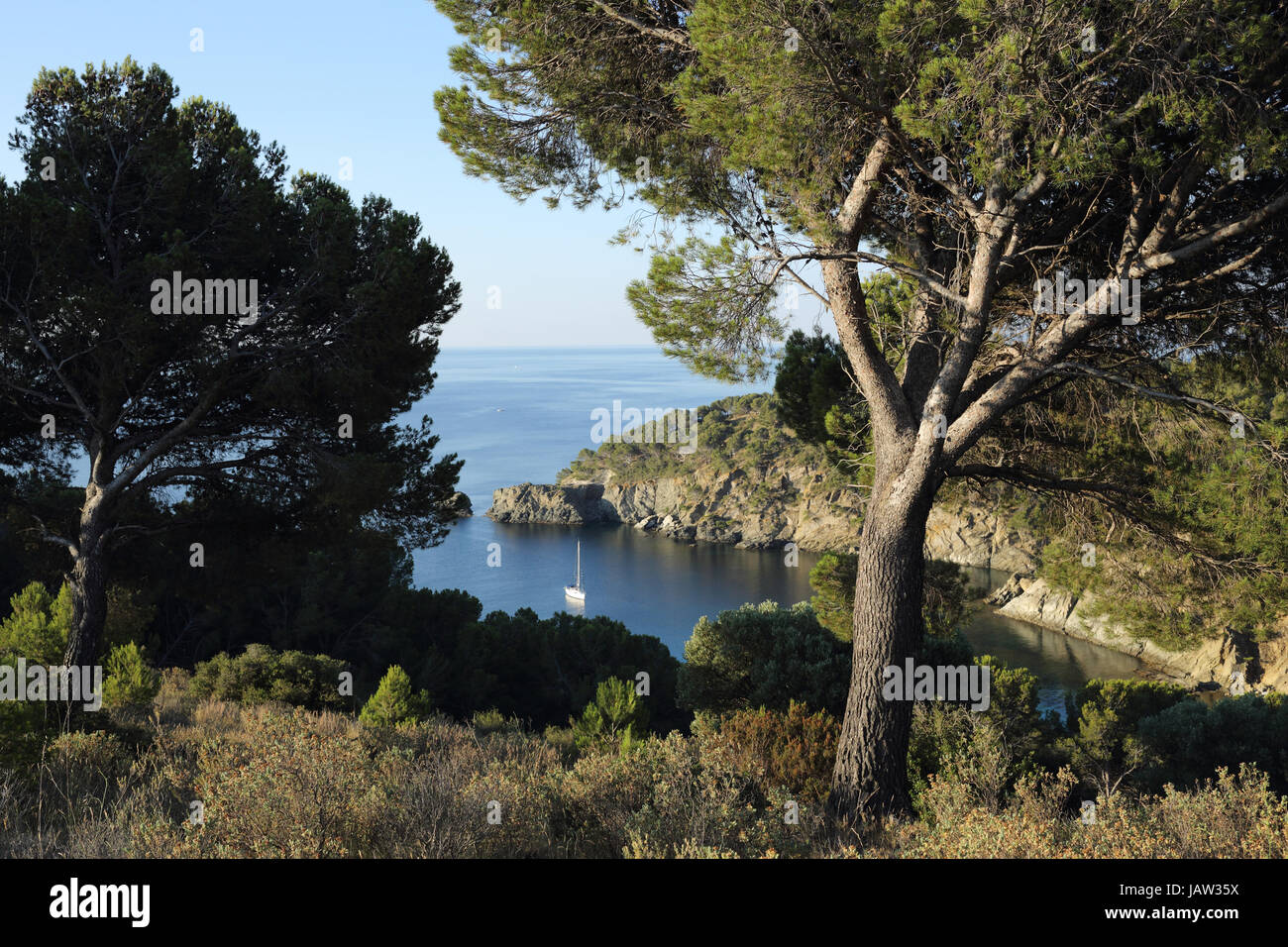 Rostella hi-res stock photography and images - Alamy