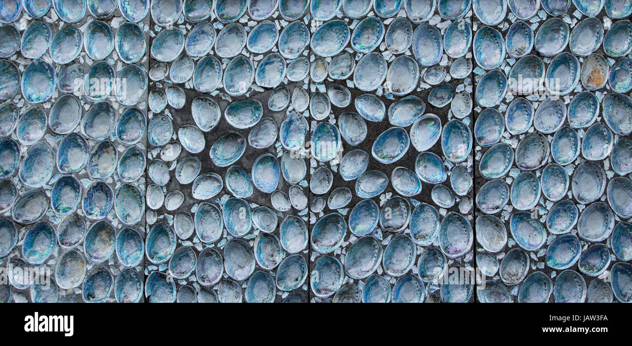 Paua Shell High Resolution Stock Photography and Images - Alamy