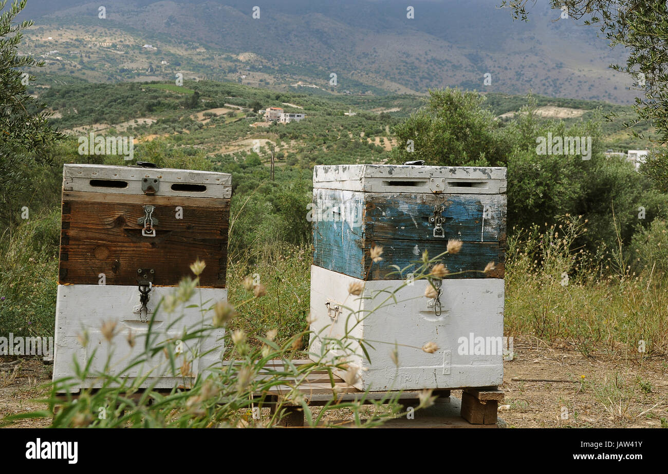 Crete honey beehive hi-res stock photography and images - Alamy