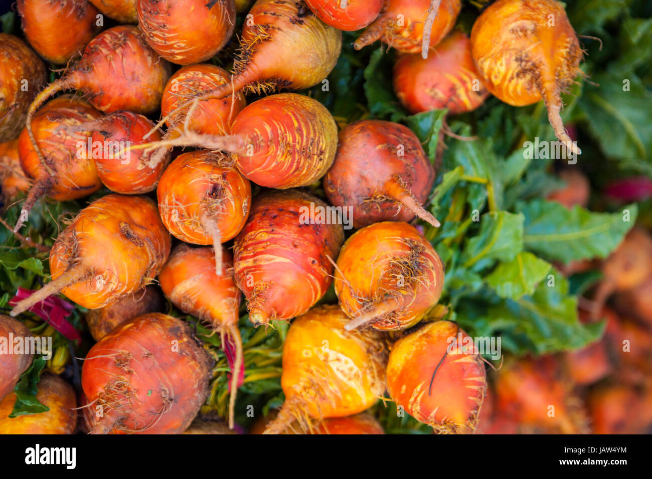 Root crops hi-res stock photography and images - Alamy