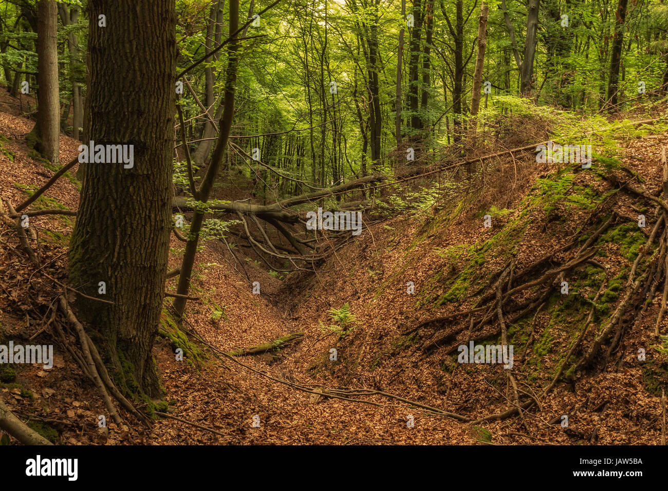 German gully track hi-res stock photography and images - Alamy