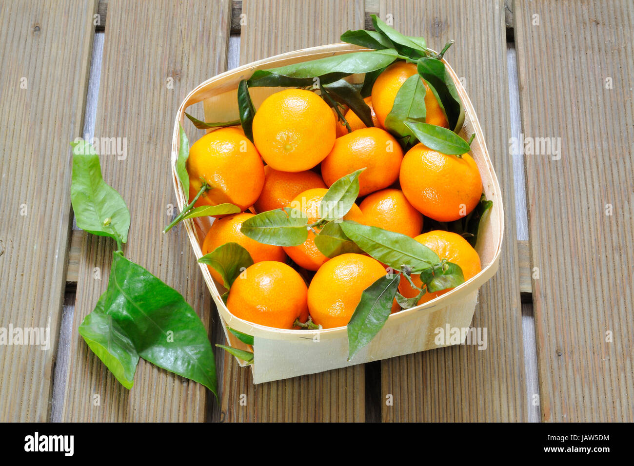 Satsuma citrus reticulata hi-res stock photography and images - Alamy