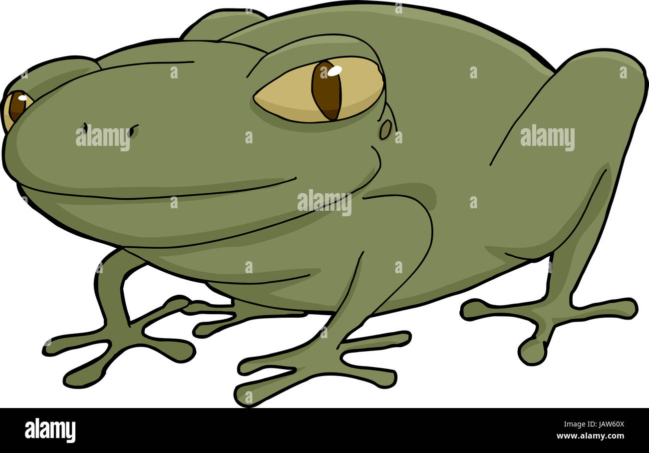 Cute smiling frog on isolated white background Stock Photo - Alamy