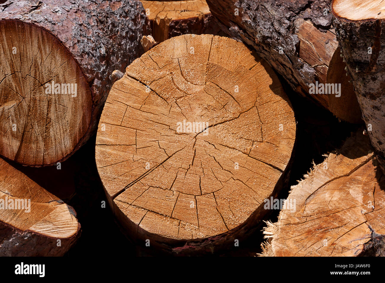 Horizontal shot of freshly cut firewood logs in a stack Stock Photo - Alamy