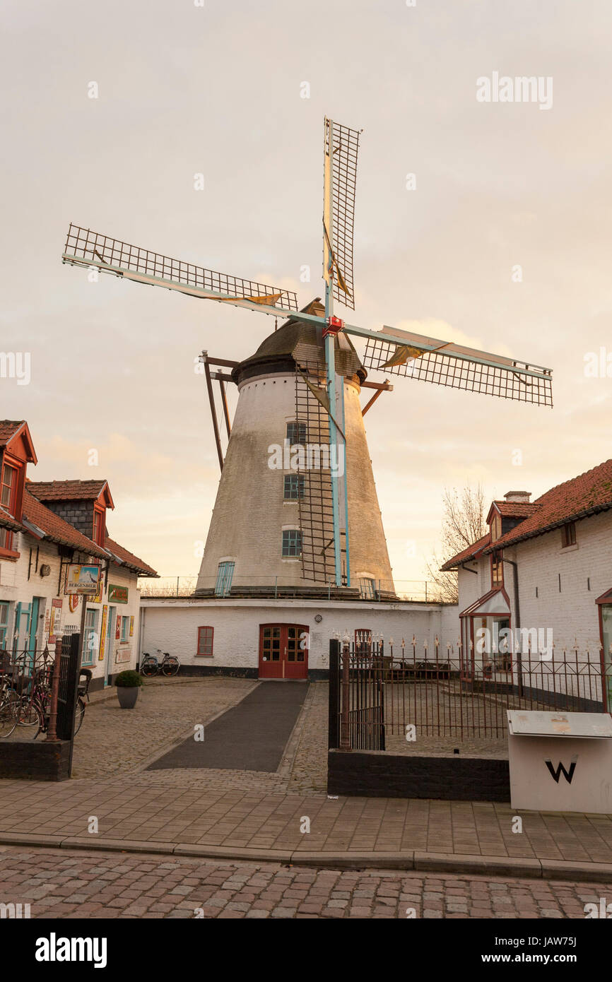 Vintage stone windmill in flanders belgium Stock Photo - Alamy