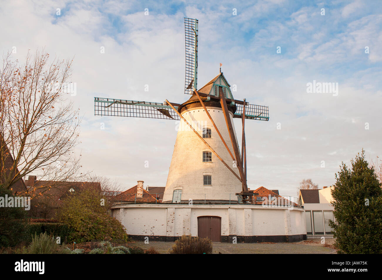 Vintage stone windmill in flanders belgium Stock Photo - Alamy