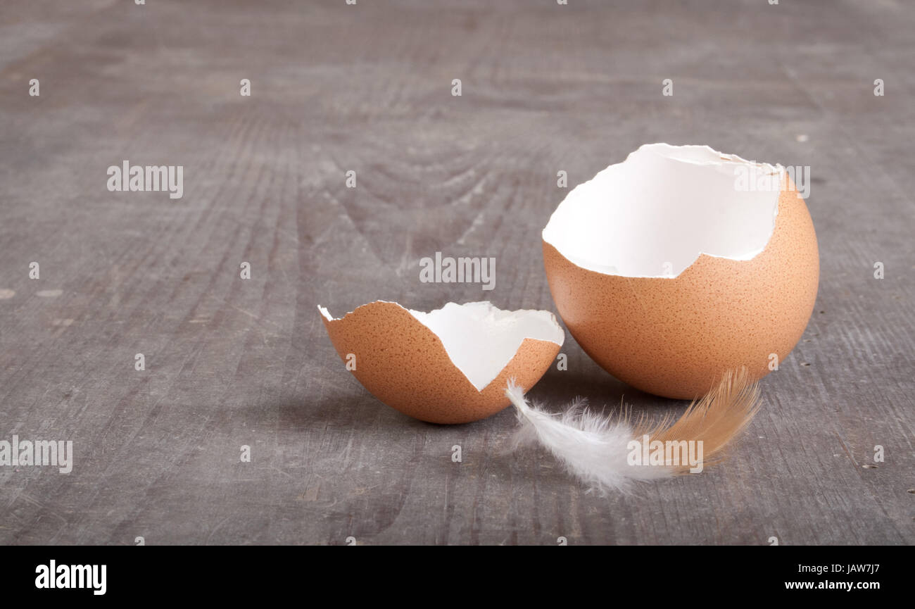 healthy egg shell Stock Photo - Alamy