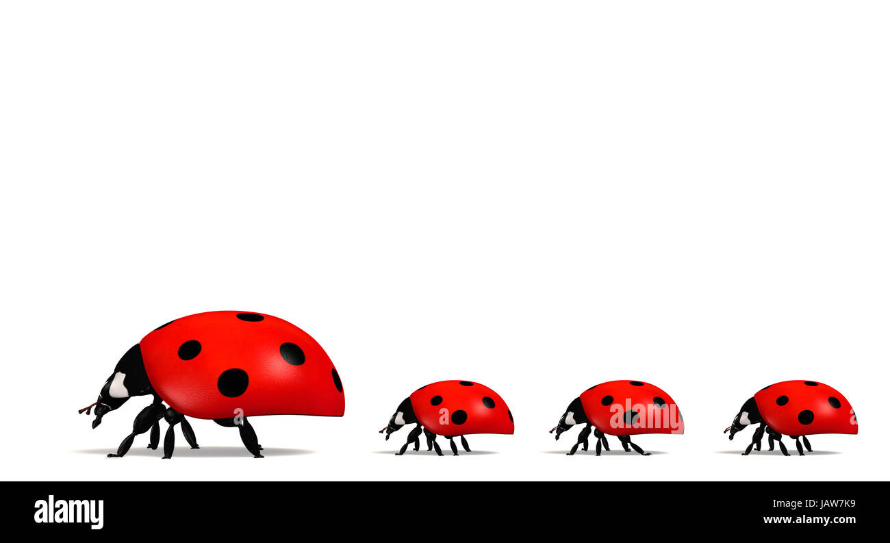 side view of a ladybug with three other smaller ones behind it placed ...