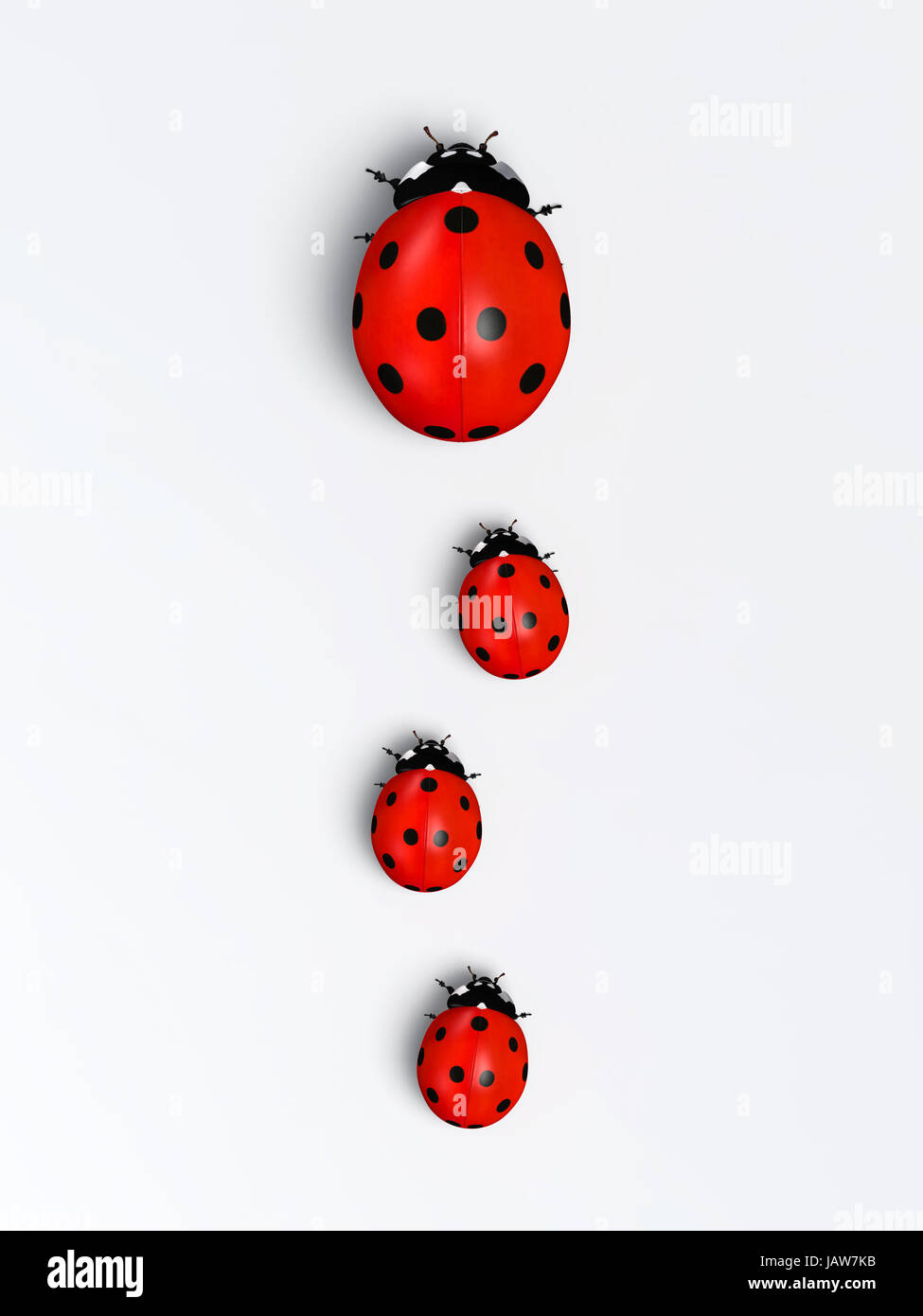 top view of a ladybug with three other smaller ones behind it placed in ...