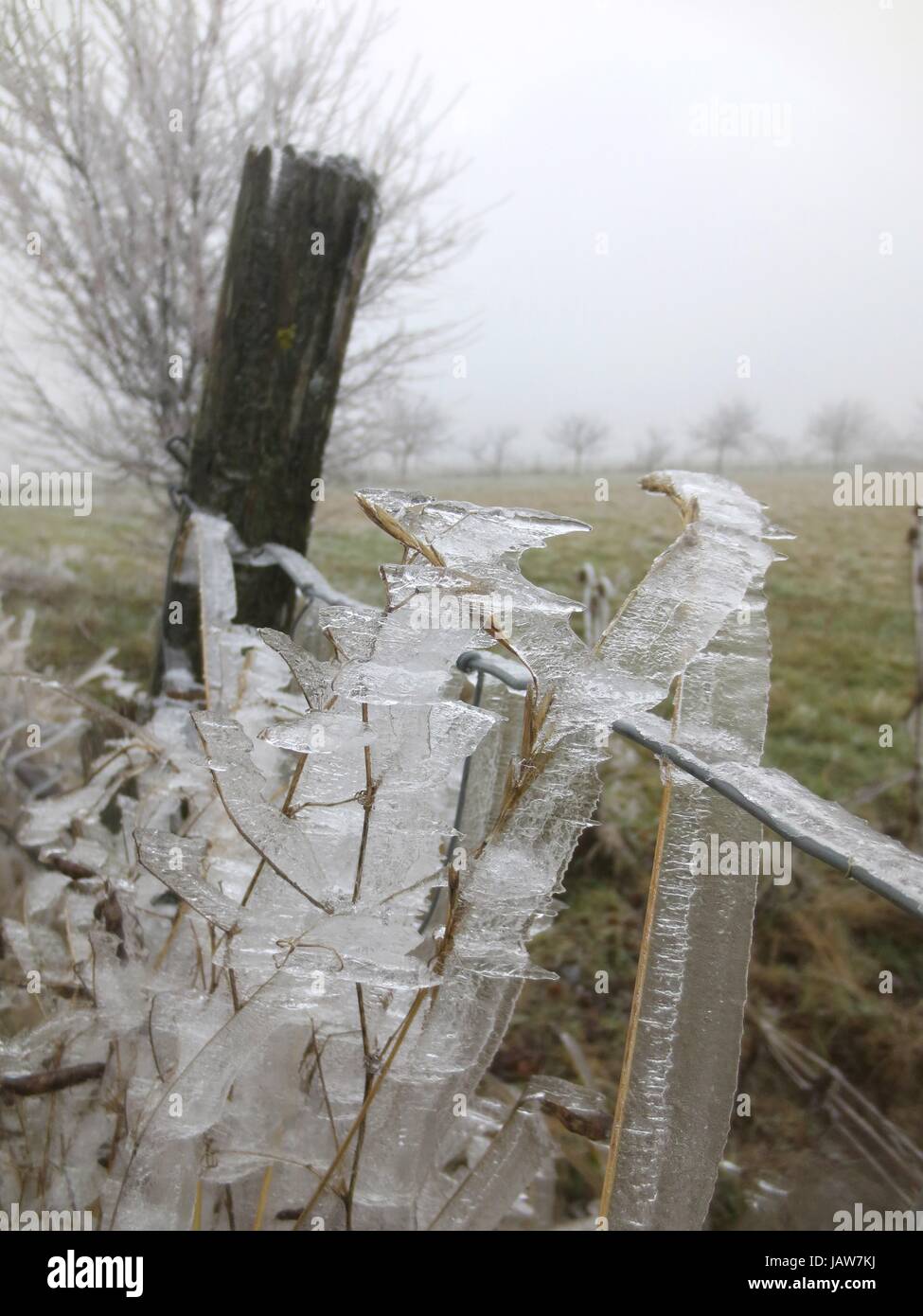 Vaterchen frost hi-res stock photography and images - Alamy Vaterchen frost hi-res stock photography and images - Alamy