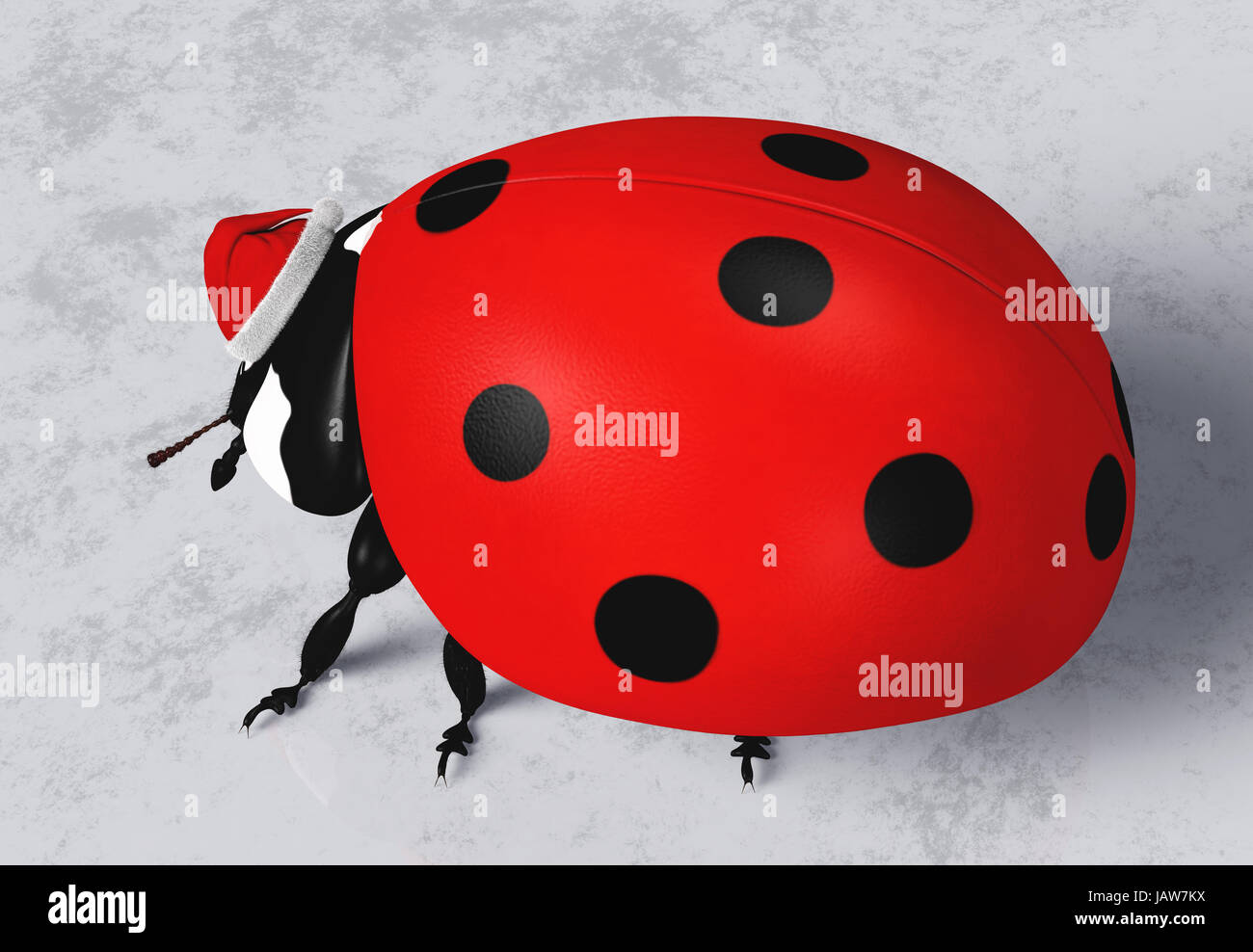 Redhat Ladybug Clipart