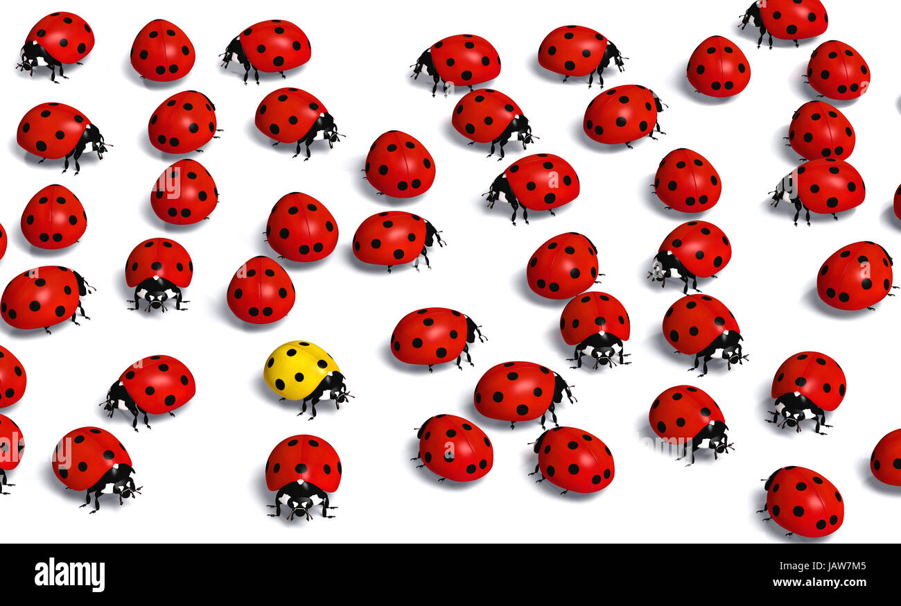 unique yellow ladybug stays in the middle of a crowd of the red ones ...