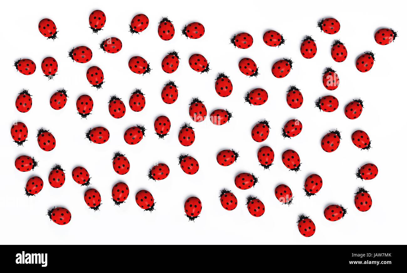 Swarm ladybugs hi-res stock photography and images - Alamy