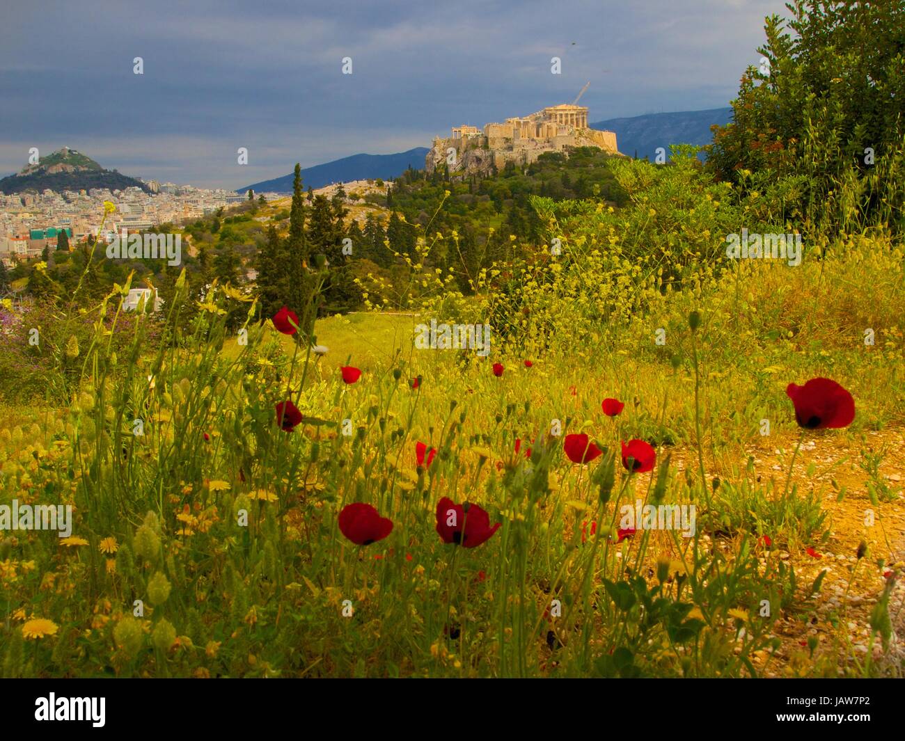 acropolis of athens in spring Stock Photo - Alamy