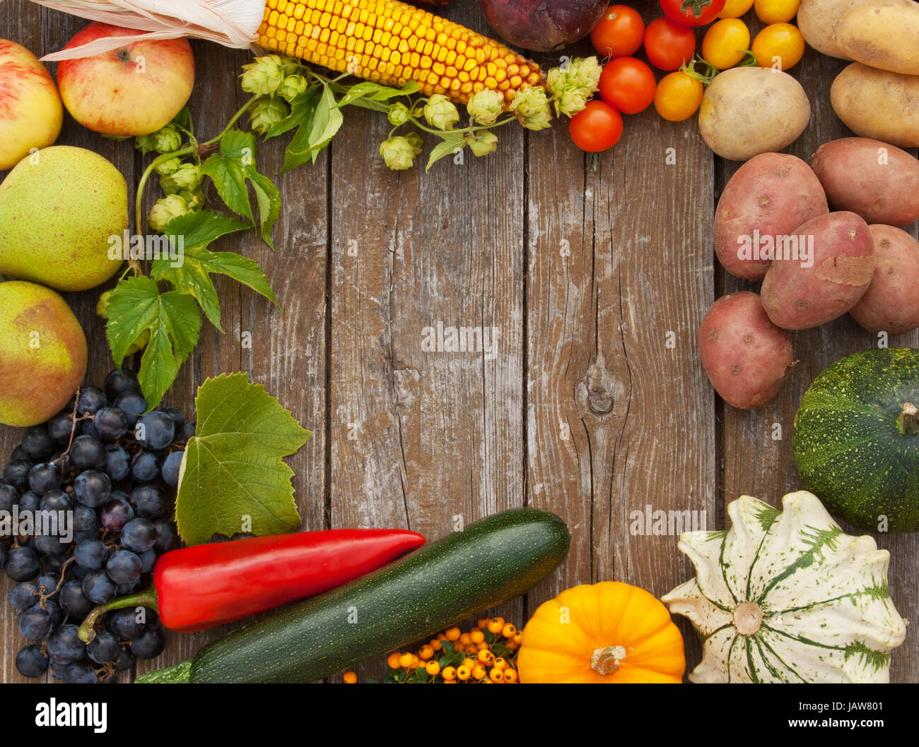 Small cauliflower plants hi-res stock photography and images - Alamy