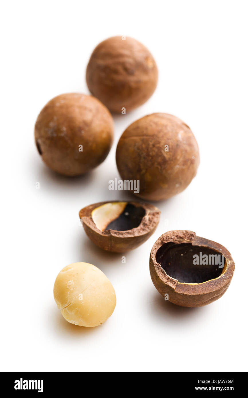macadamia nuts on white background Stock Photo - Alamy