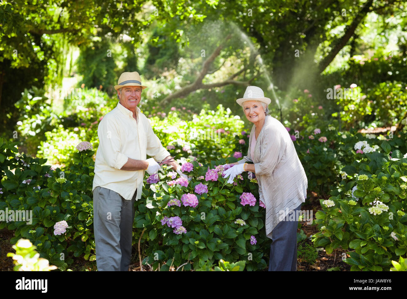 Man and a woman smiling while pruning flowers Stock Photo - Alamy