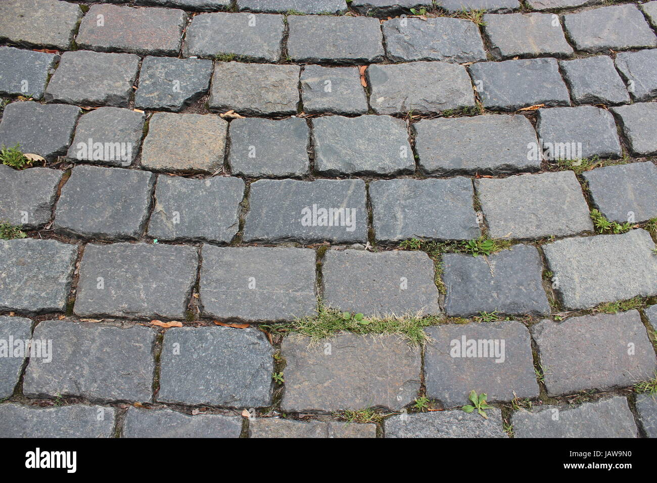 road with cobblestone pavement with gray pattern Stock Photo - Alamy