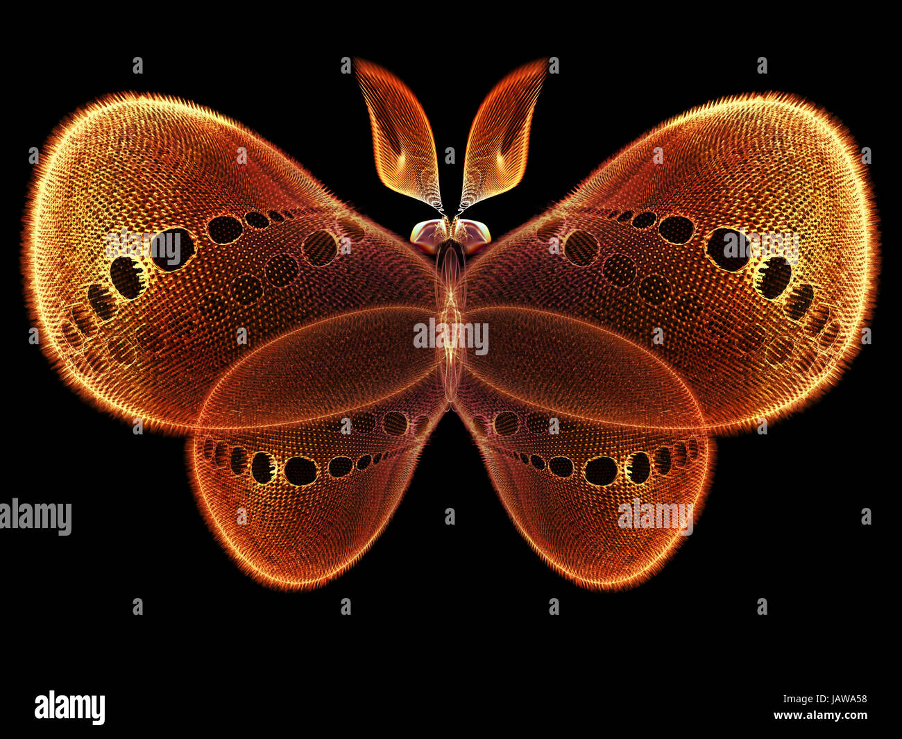 Never Were Butterflies series. Graphic composition of isolated ...