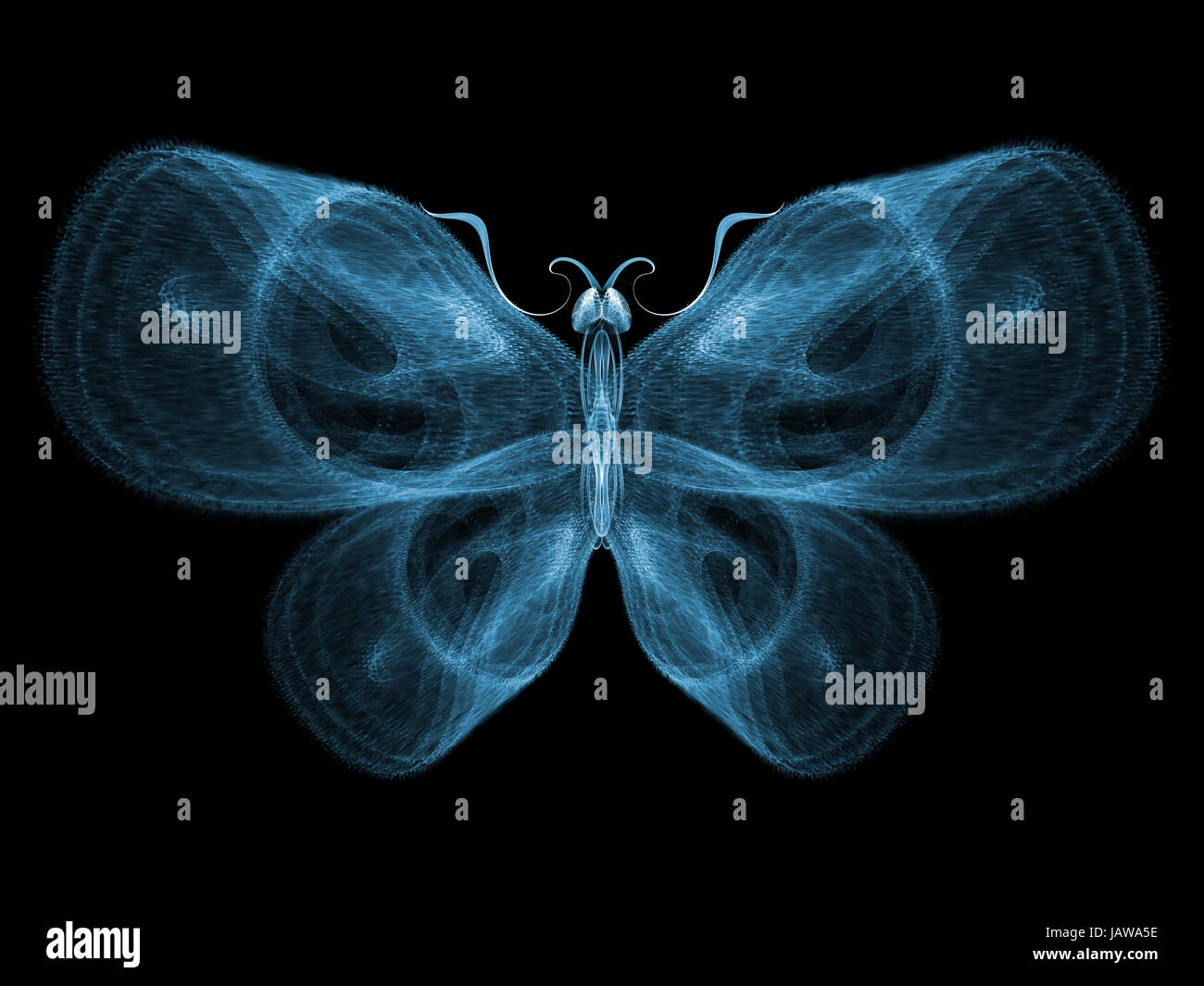 Never Were Butterflies series. Creative arrangement of isolated ...