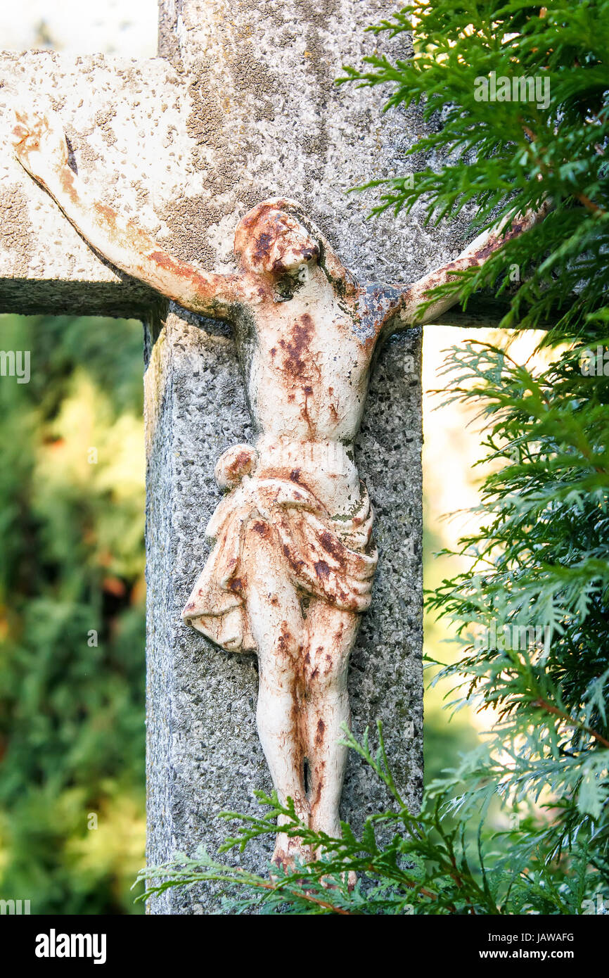 Crucifixion, Jesus Christ on the cross. Trees growing around cross ...