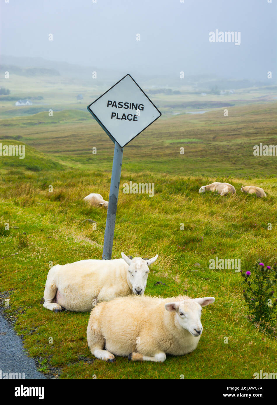 Break fellows hi-res stock photography and images - Alamy