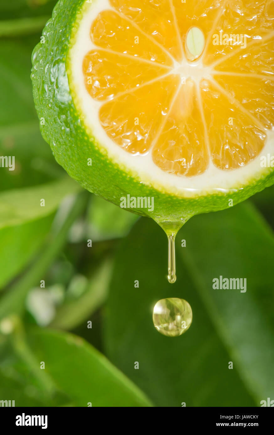 Drop of lemon juice falling down Stock Photo - Alamy