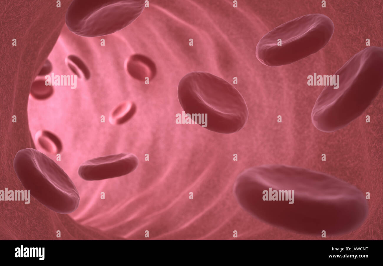 Magnified blood cells hi-res stock photography and images - Alamy