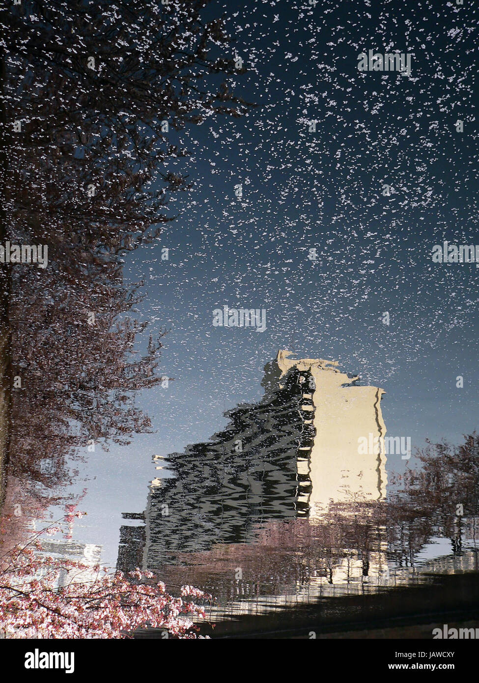city water reflection in springtime, Tokyo Stock Photo - Alamy