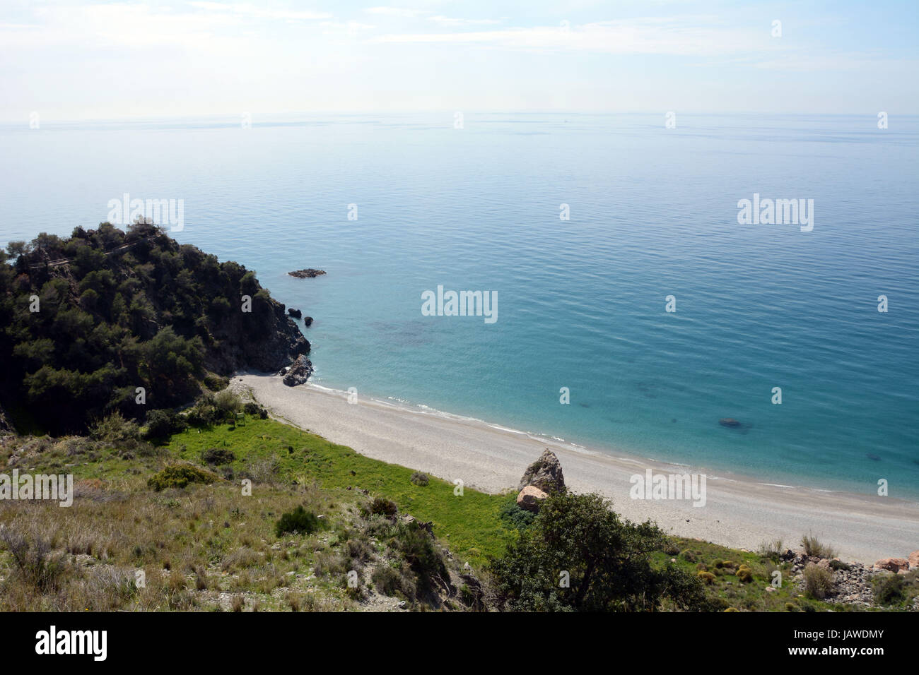 Pino sol hi-res stock photography and images - Alamy