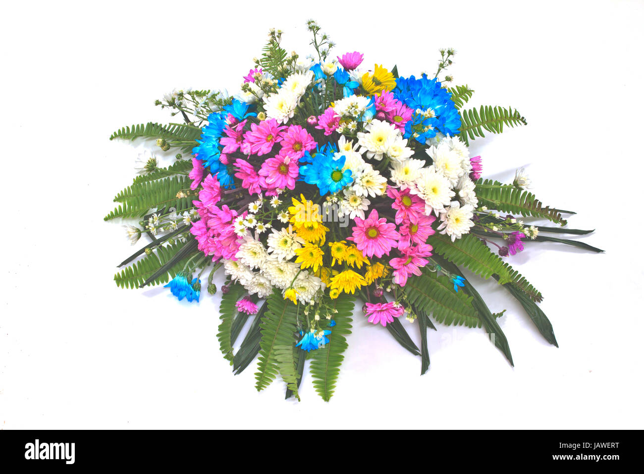 Beautiful chamomile field flowers Cut Out Stock Images & Pictures - Alamy