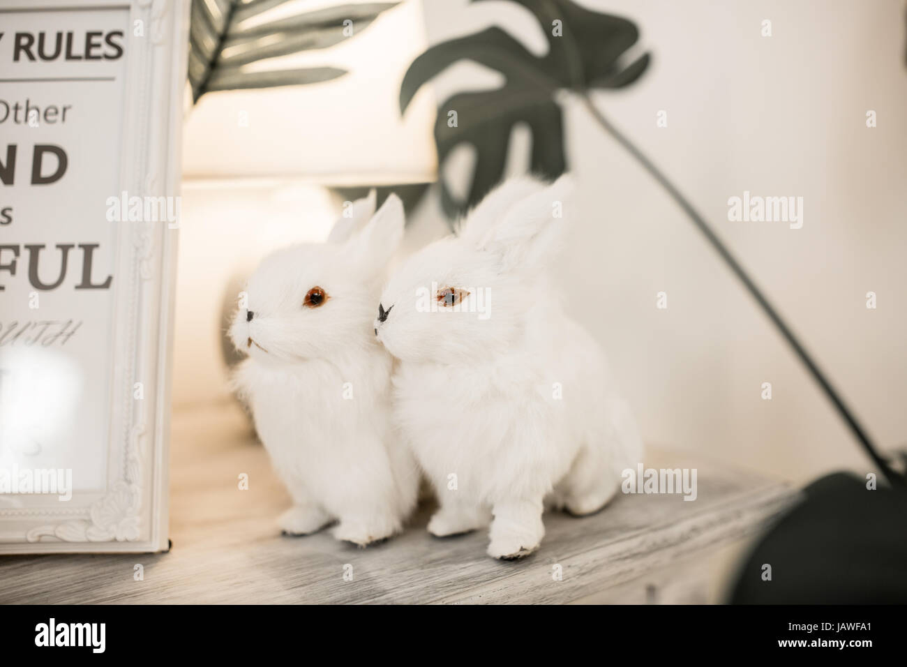 two white rabbits sitting together near each other on warm toning ...