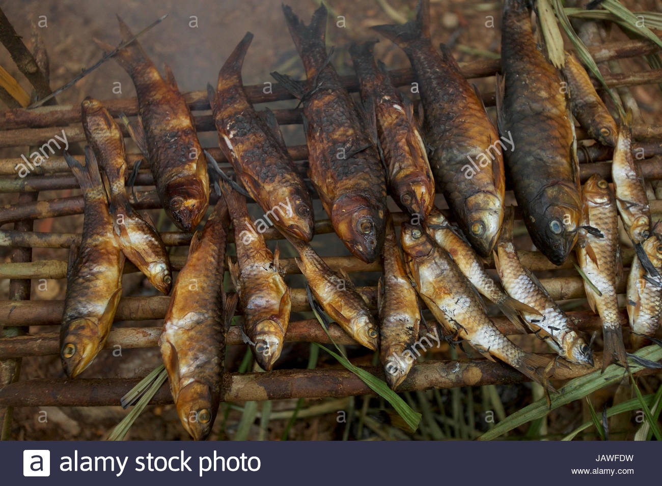 Fish Rack Stock Photos & Fish Rack Stock Images - Alamy