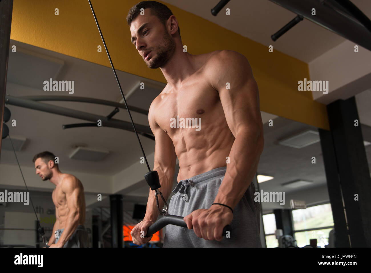 Man In The Gym Exercising On His Triceps On Machine With Cable In The ...