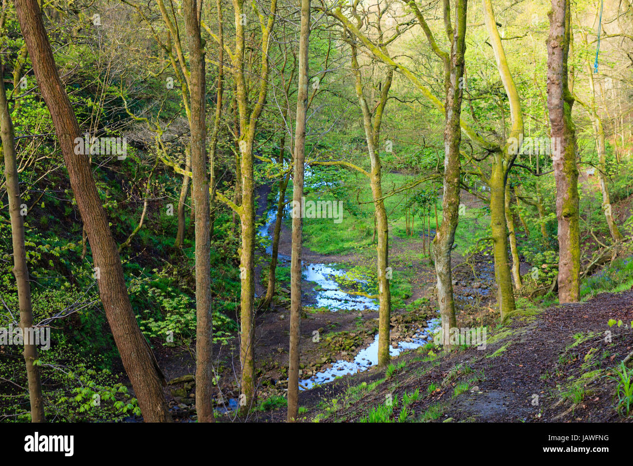 Ibbot Royd Clough, a small stream running through Nutclough Woods in ...