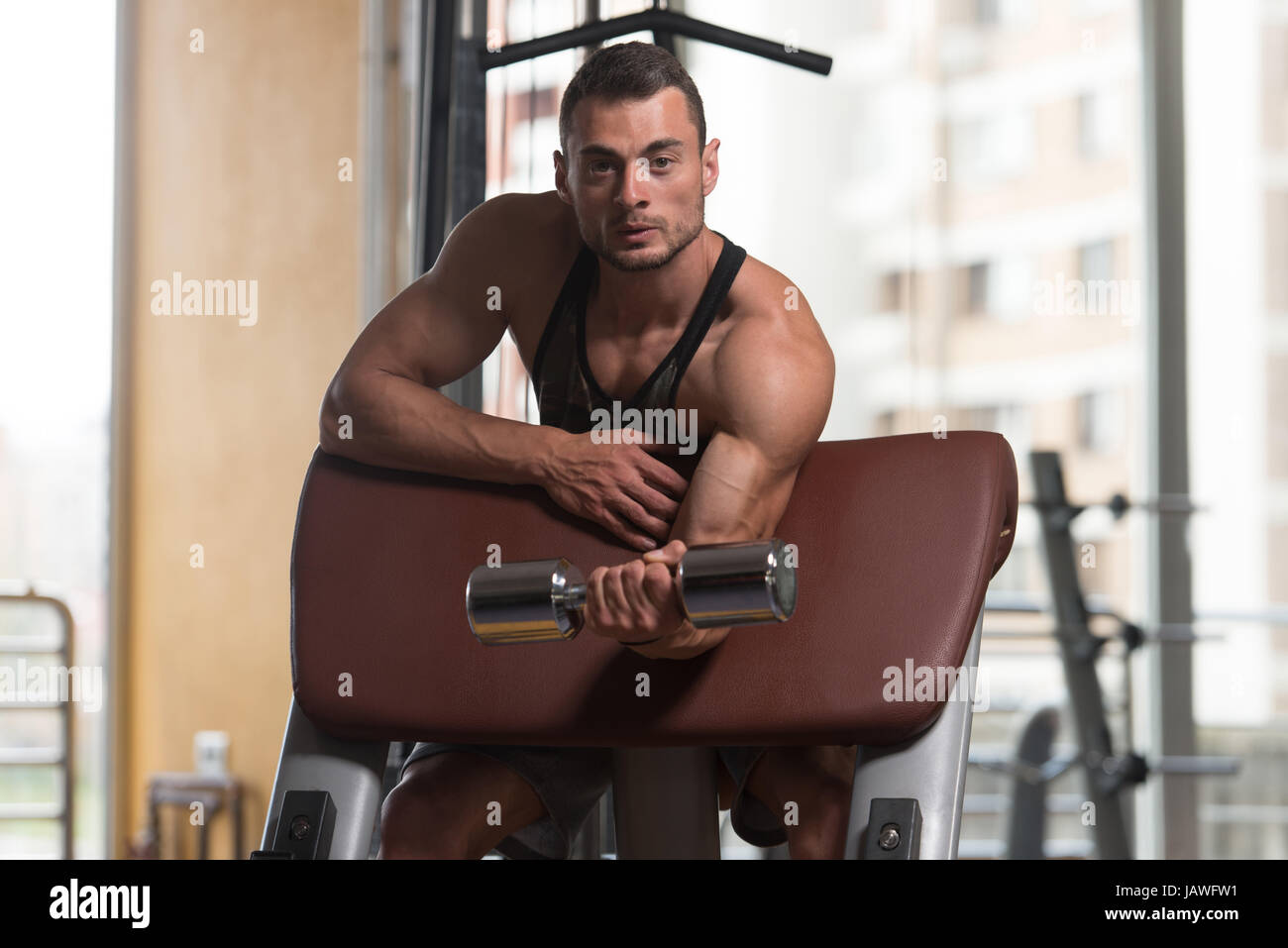 Athlete Working Out Biceps In A Gym - Dumbbell Concentration Curls ...