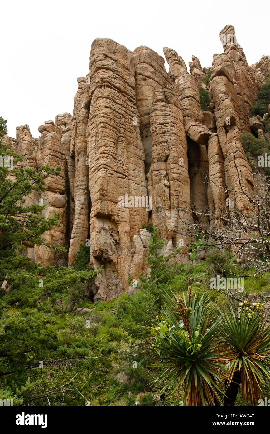 The Chiricahua National mountains in southeastern Arizona Stock Photo ...