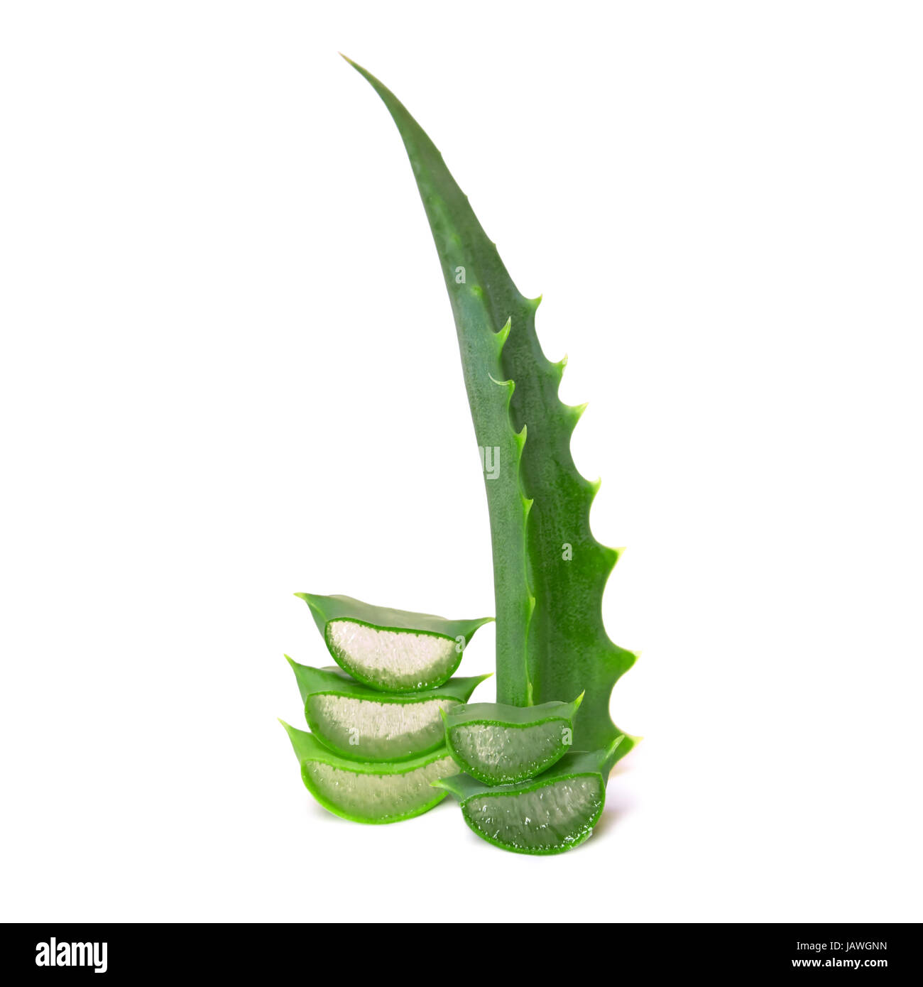 Stem and pieces of aloe vera isolated on white background. Fresh ...