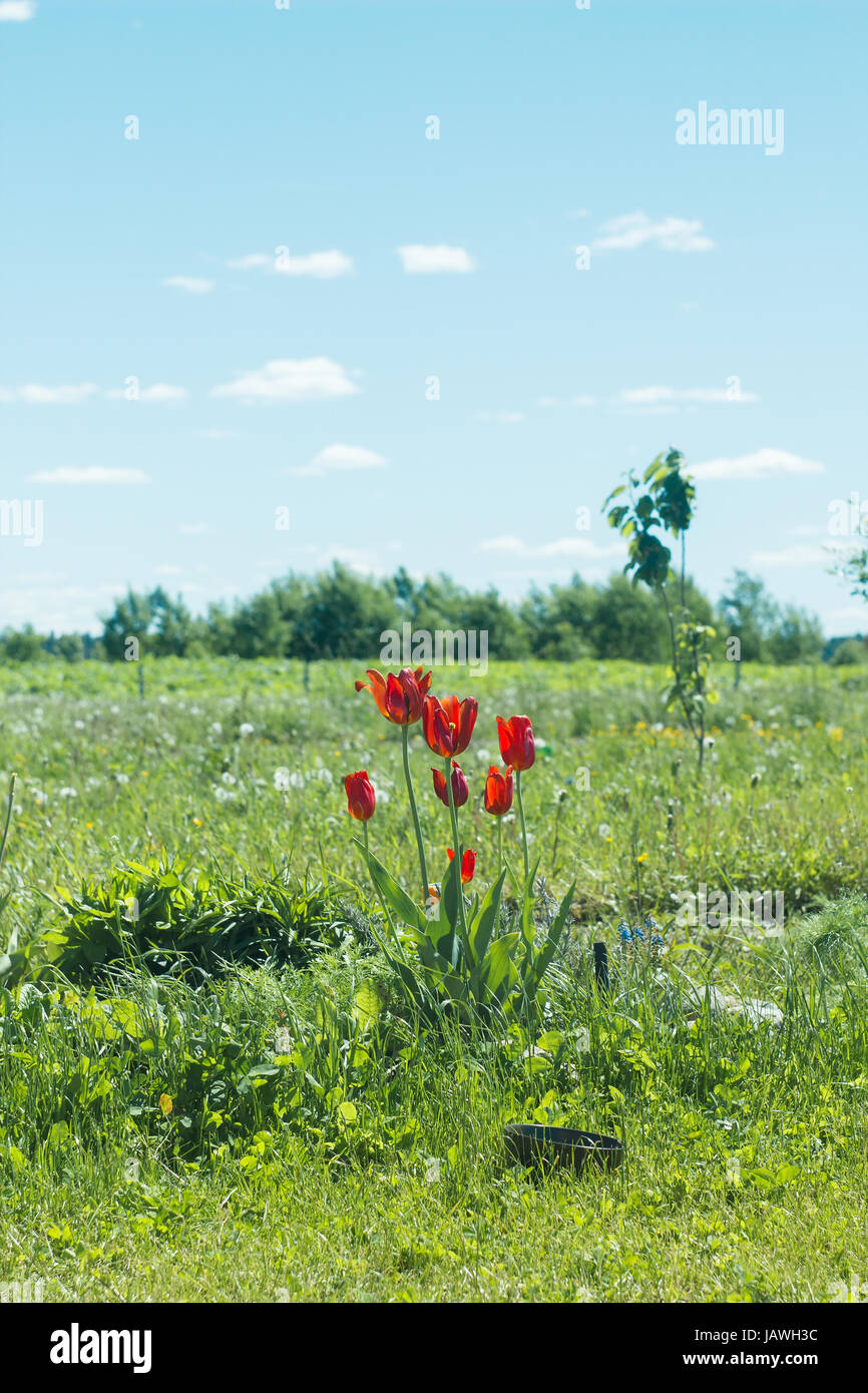 Red landscape hi-res stock photography and images - Alamy