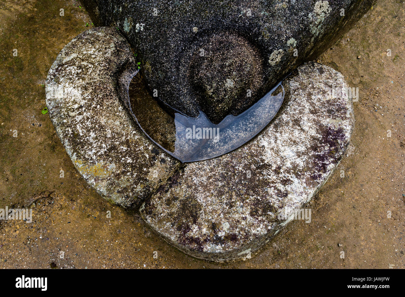 Cóndor inca hi-res stock photography and images - Alamy