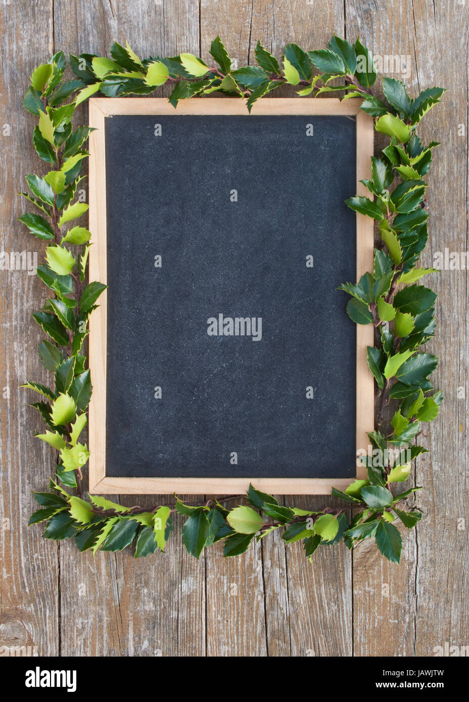 Holly frame hi-res stock photography and images - Alamy