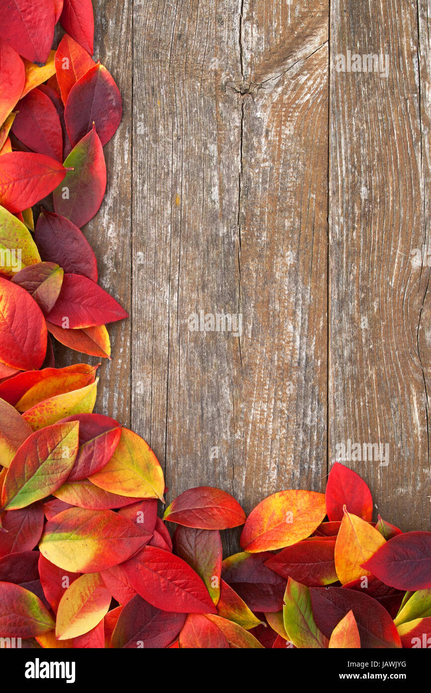 Corner borders hi-res stock photography and images - Alamy