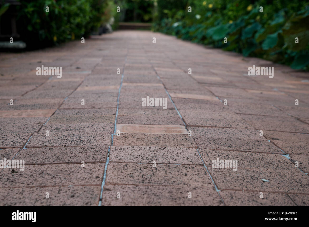 Tiled path hi-res stock photography and images - Alamy