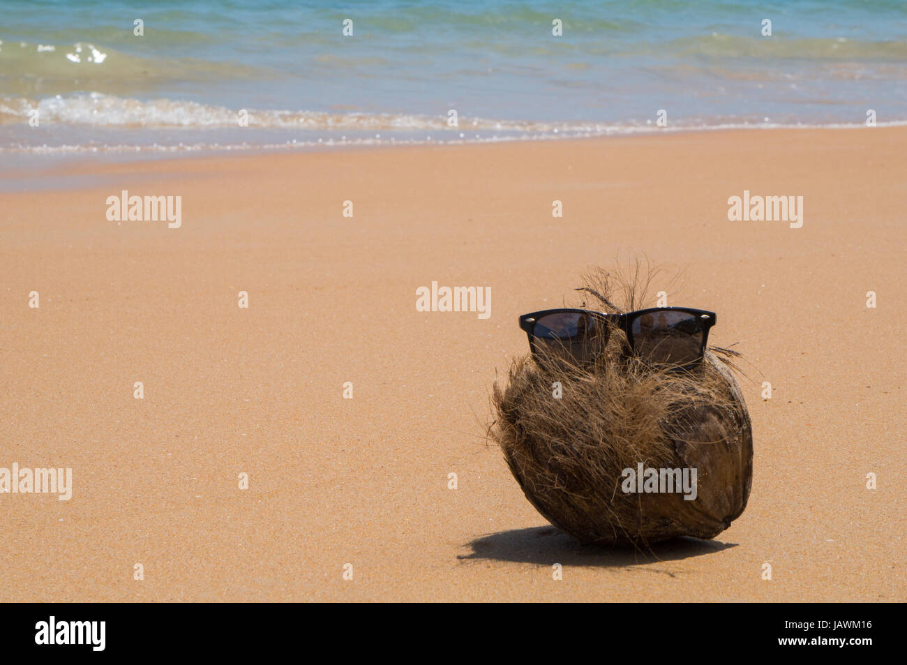 Cool coconut enjoying the beach life Stock Photo - Alamy