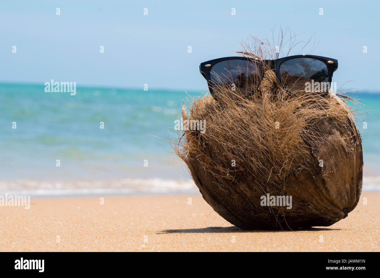 Cool coconut enjoying the beach life Stock Photo - Alamy