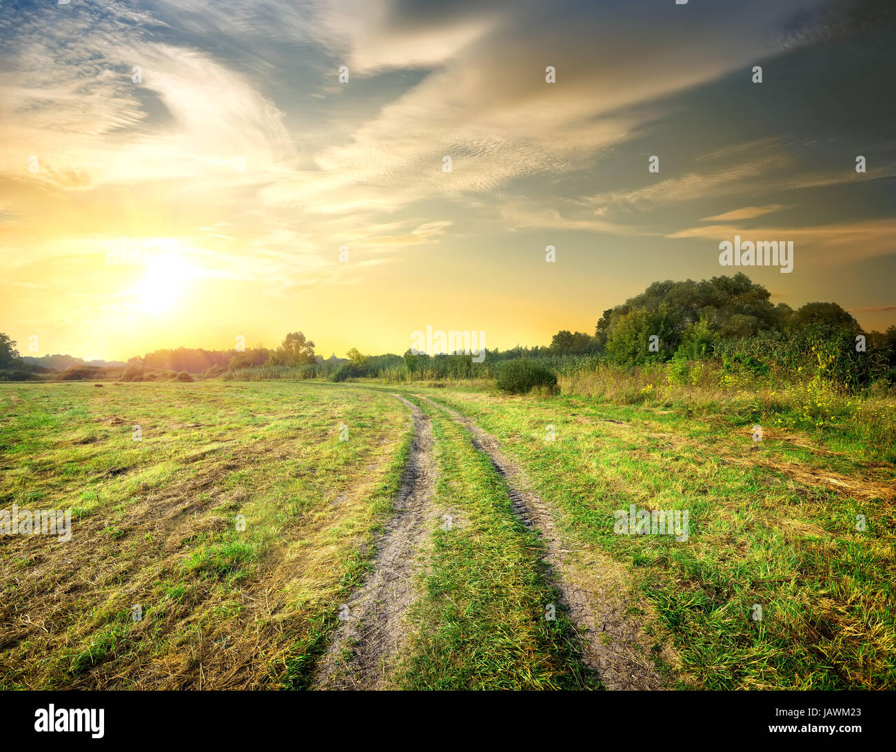Road in the autumn field at sunset Stock Photo - Alamy